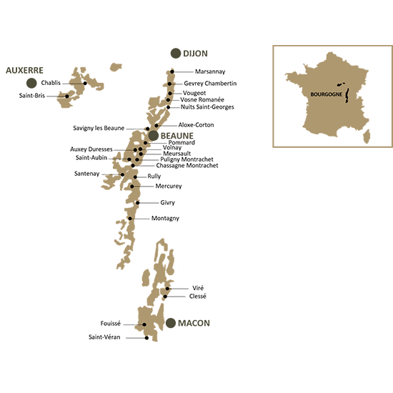 Domaine Sorin Coquard "Vieilles Vignes", 2023, A.O.P Bourgogne Aligoté ...