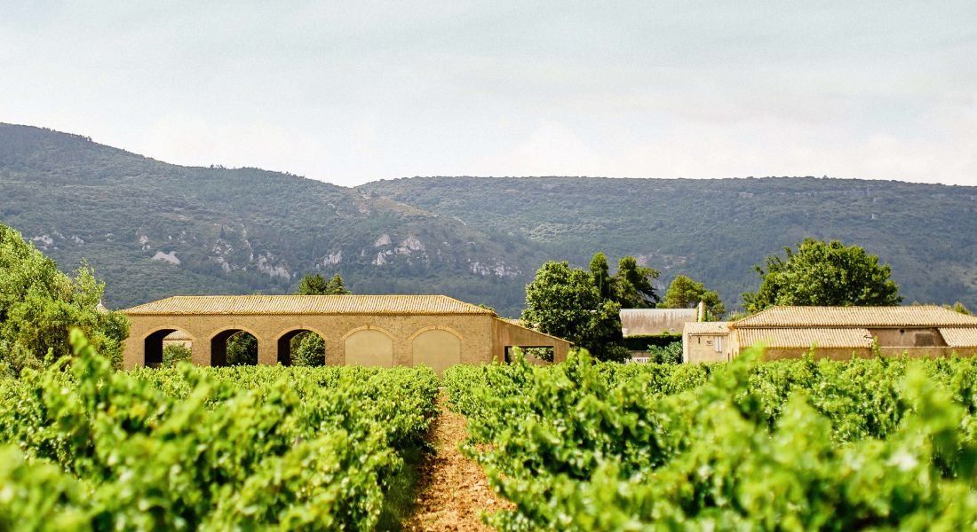 À la découverte des Domaines de la famille Bonfils : un héritage ...