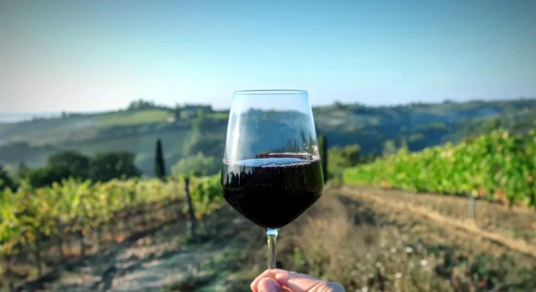 Les différentes appellations dans le vin - Carrefour Ma Cave