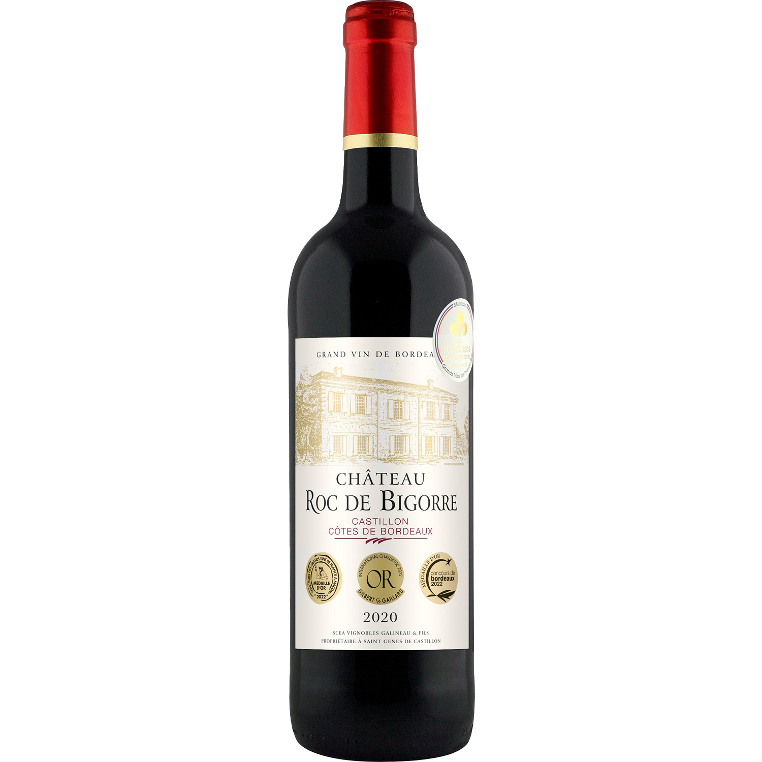 Château Roc de Bigorre, 2020, A.O.P Castillon Côtes de Bordeaux, Vin ...