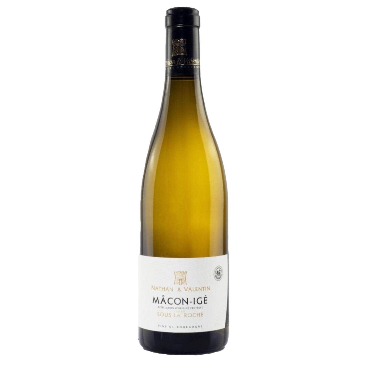 Domaine Fichet Nathan & Valentin "Sous la Roche", 2022, A.O.P Mâcon Igé ...